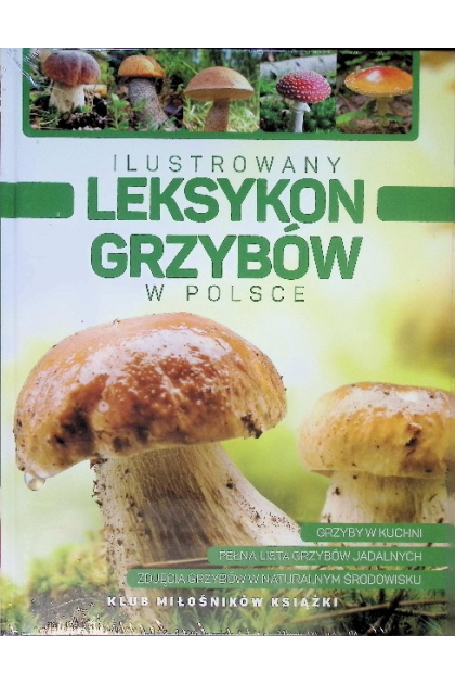 Ilustrowany Leksykon Grzyb w W Polsce Wies aw Kami ski Ksi ka Ilustrowany Leksykon Grzyb w W Polsce Wies aw Kami ski Ksi ka